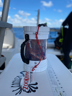 New Smaller ZooKeeper Size 10"