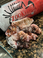 REEF's How to Fillet a Lionfish Safely?