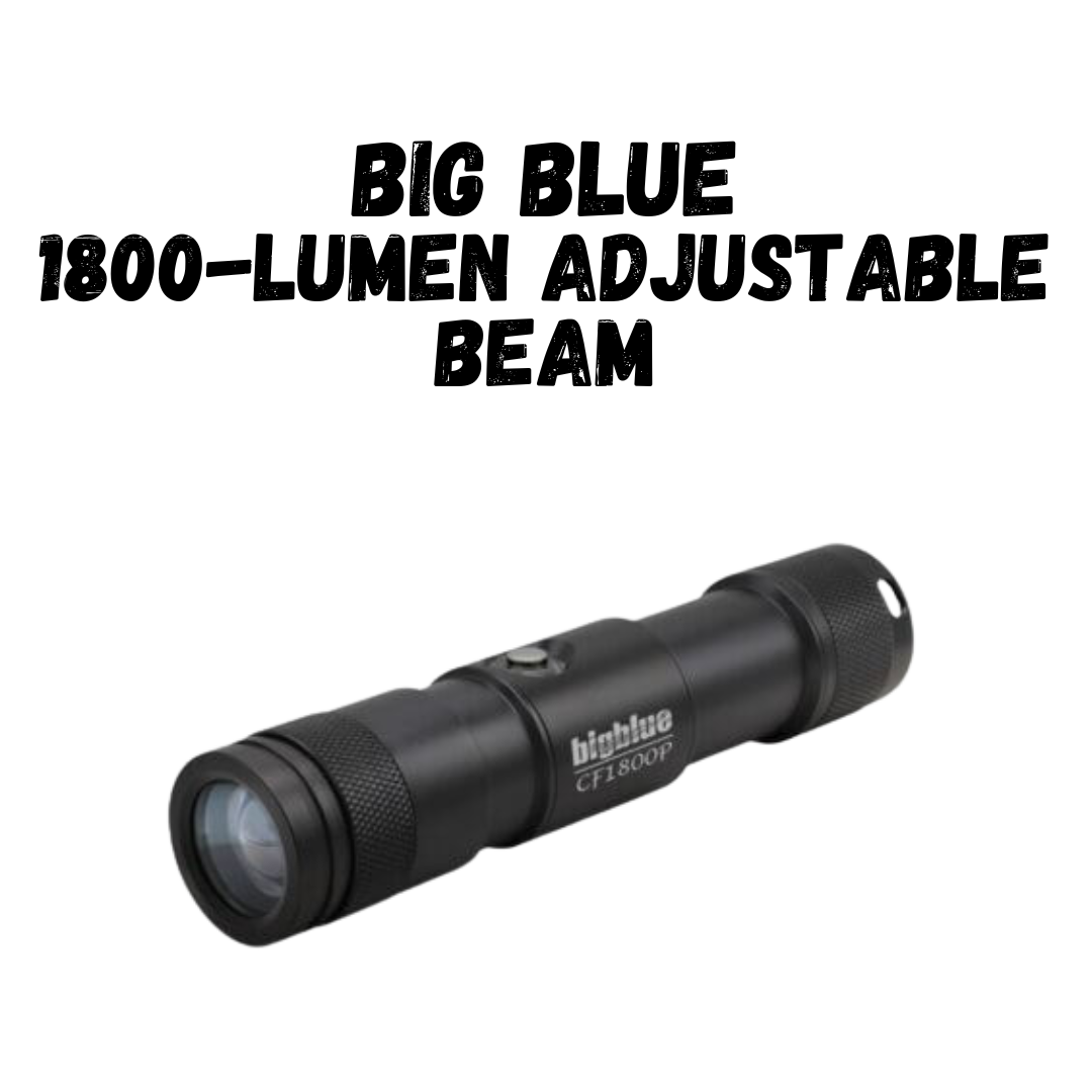 Big Blue 1800-Lumen Adjustable Beam
