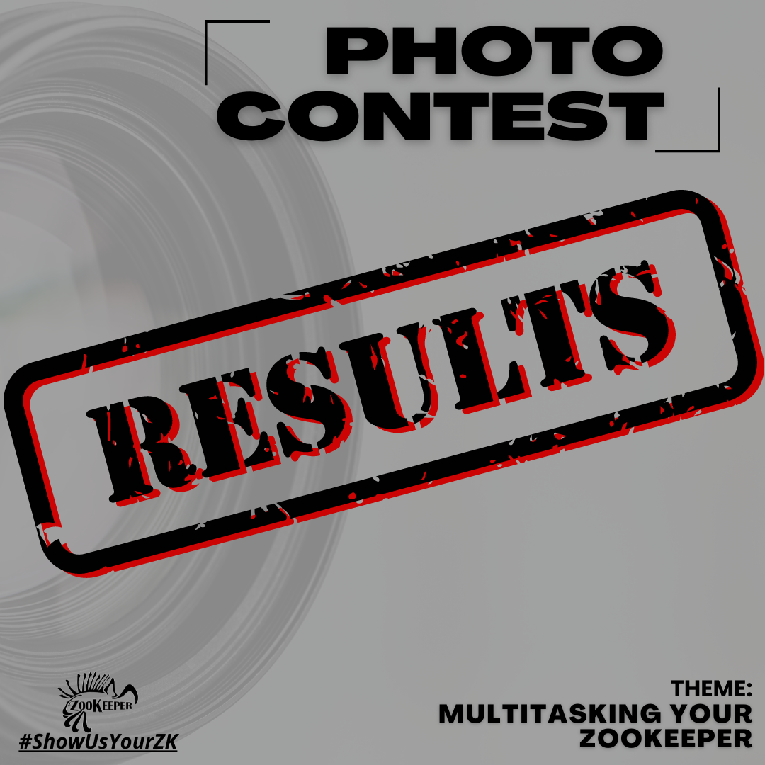 Results of Photo Contest