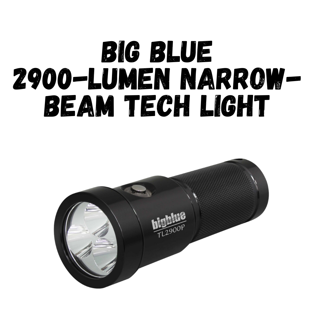 Big Blue 2900-Lumen Narrow-Beam Tech Light ~ ZooKeeper