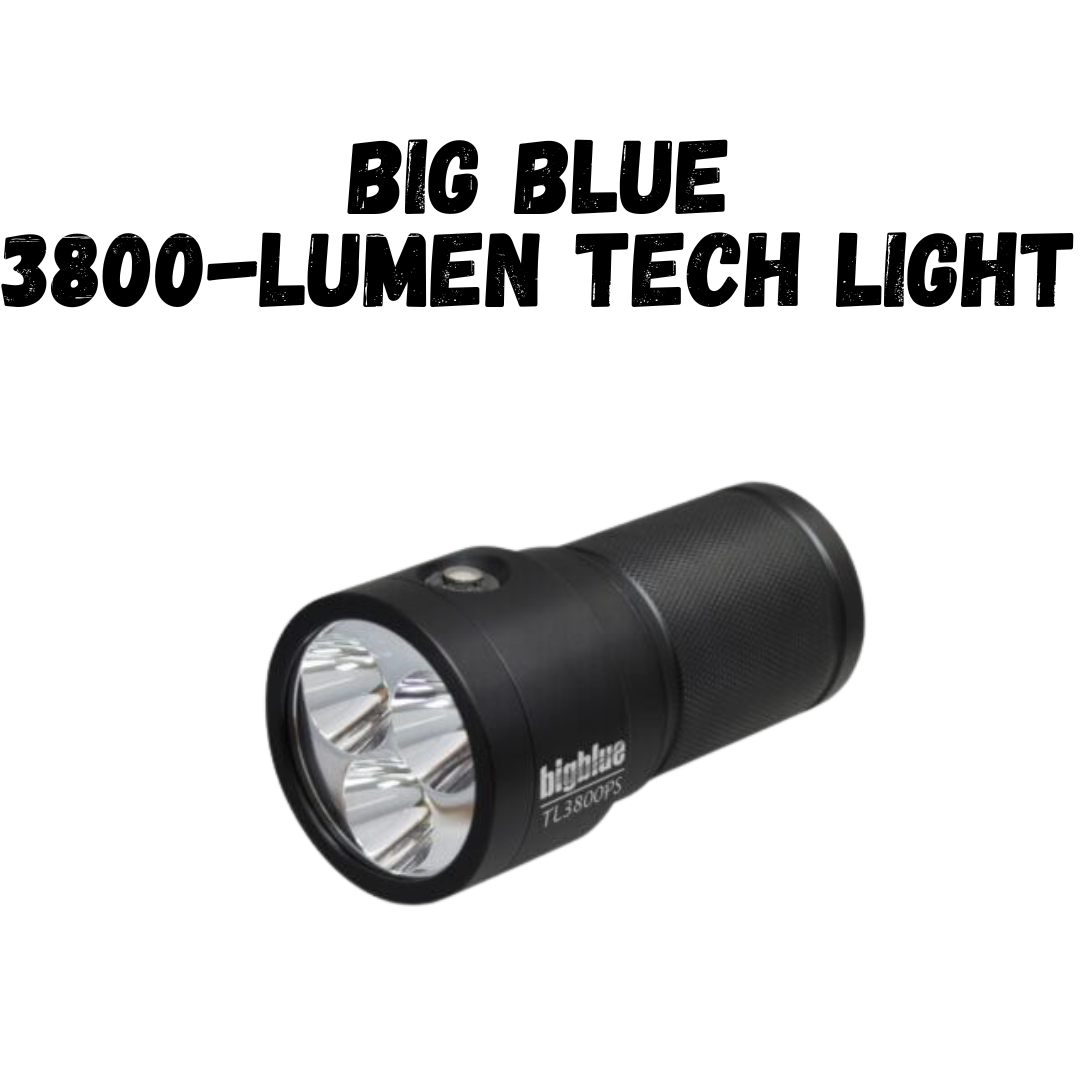 Big Blue 3800-Lumen Tech Light ~ ZooKeeper